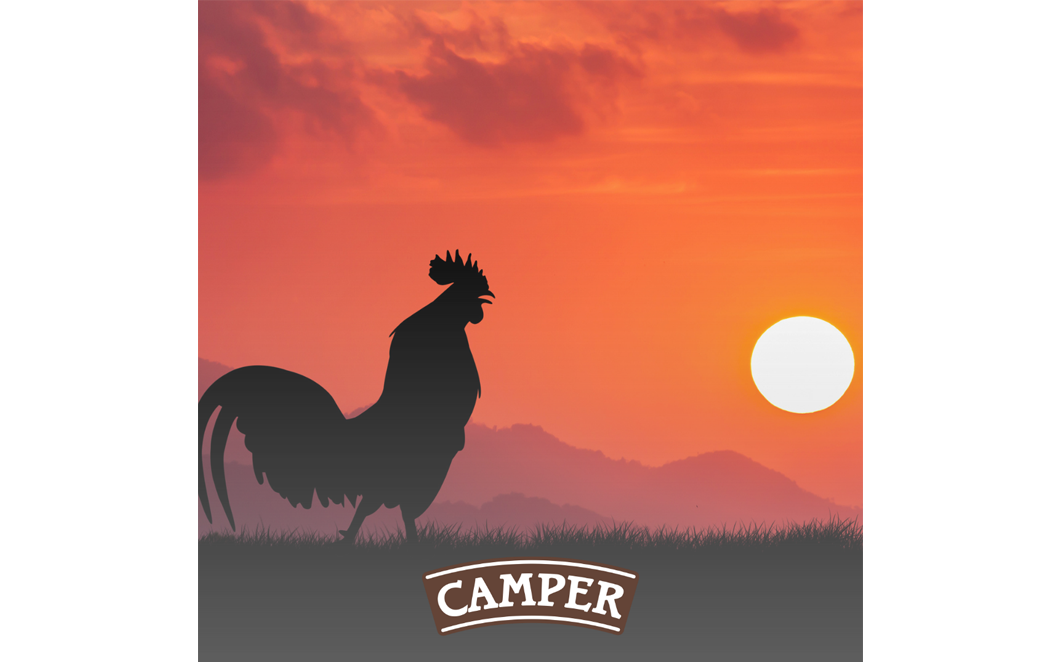 Porque canta o galo ao amanhecer? Mitos e verdades - Nanta