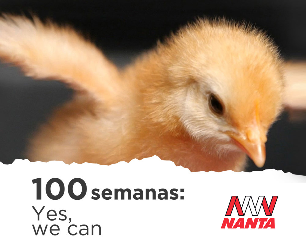 IV Encuentro Nanta de Puesta Alternativa “100 semanas: yes, we can ...