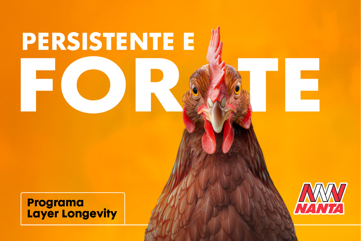 Programa Layer Longevity - Nanta