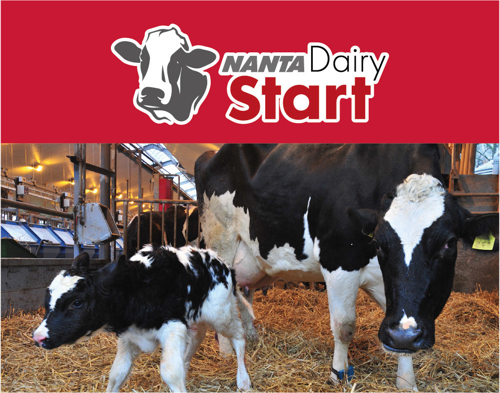 Nanta Dairy Start - Nanta